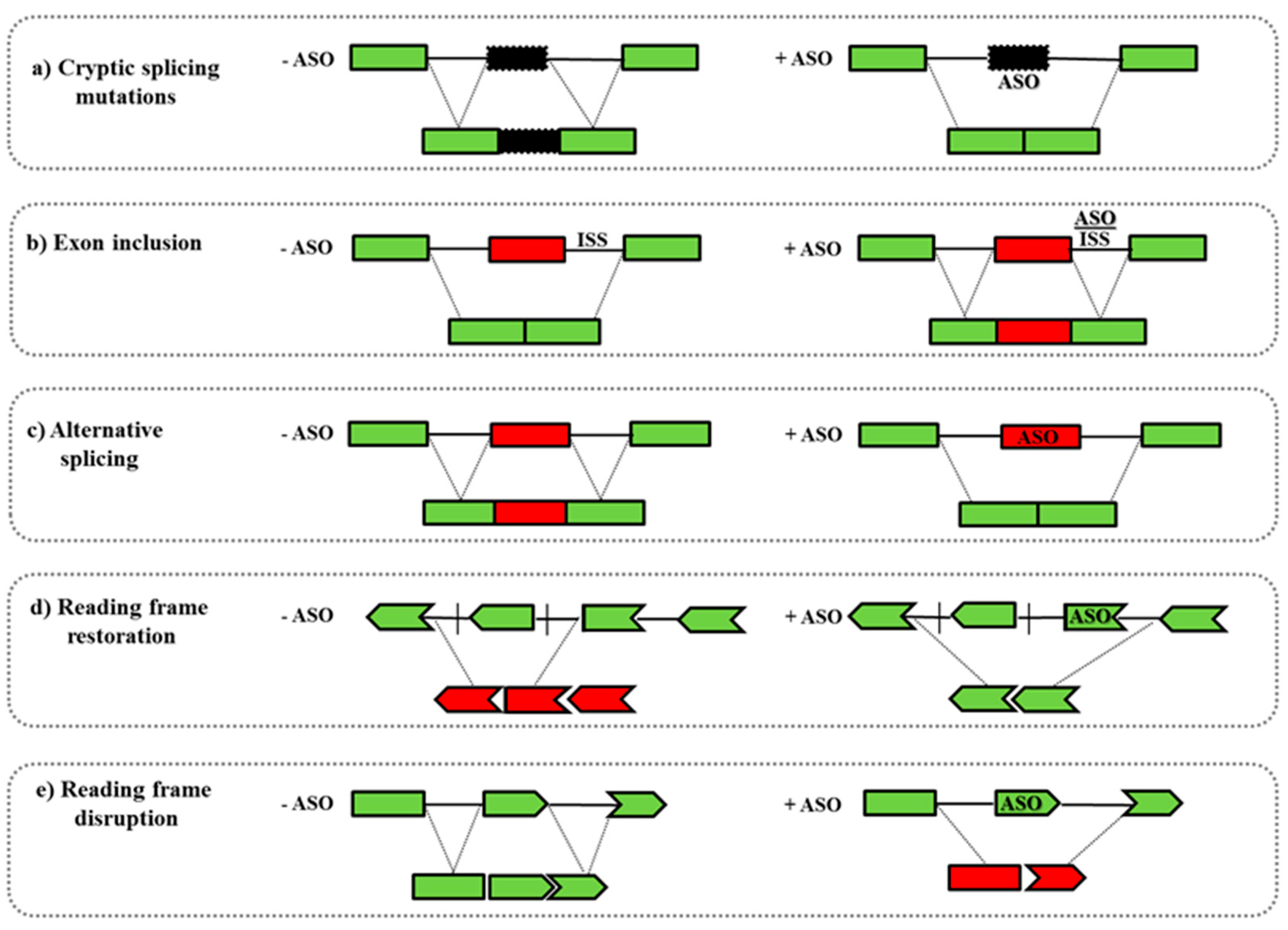 Molecules Free Full Text Antisense Oligonucleotide Based Therapy