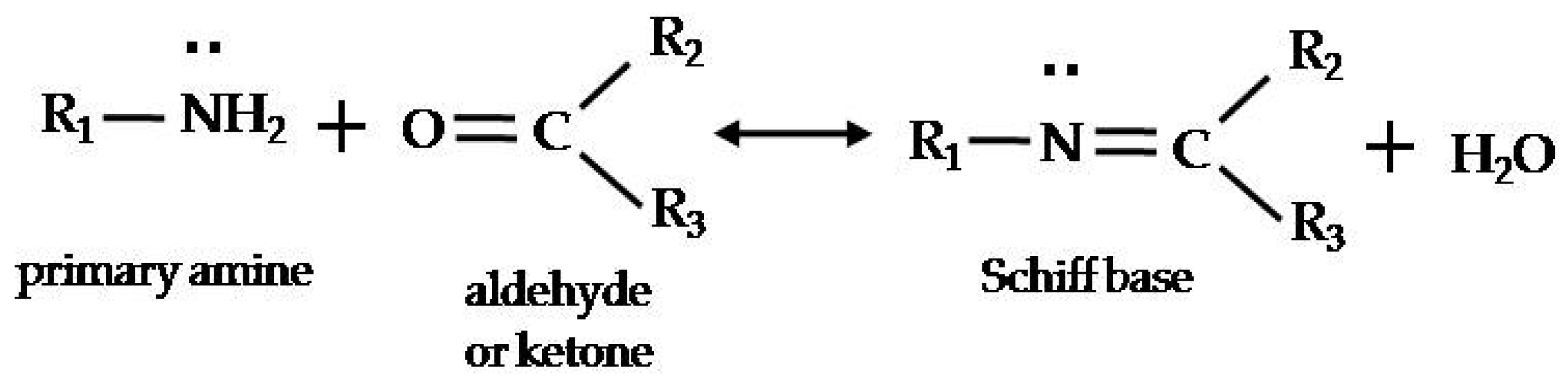 Effects of Schiff Base Formation and Aldol Condensation on the ...