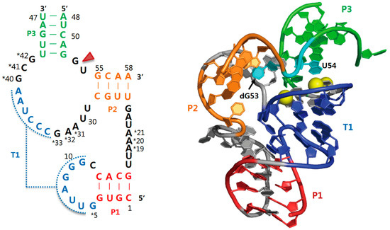 Molecules | Special Issue : Ribozymes and RNA Catalysis