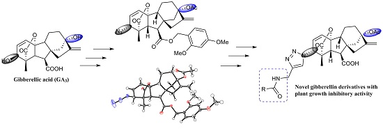Molecules | Free Full-Text | Synthesis of Gibberellic Acid Derivatives ...