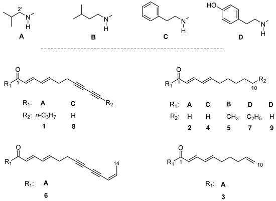 Molecules | Free Full-Text | Alkamides from Anacyclus pyrethrum L. and ...