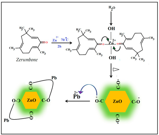 Green Synthesis of Zinc Oxide Nanoparticles for Enhanced Adsorption of ...