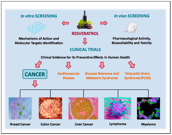 Molecules | Free Full-Text | Cancer Chemoprevention by Resveratrol: The ...