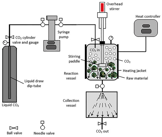 Solvent Supercritical Fluid Technologies to Extract Bioactive Compounds ...