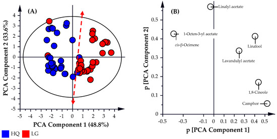 Molecules | Free Full-Text | Chemometric Analysis of Lavender Essential ...