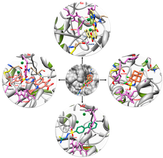 Sulfonamide-Linked Ciprofloxacin, Sulfadiazine and Amantadine ...