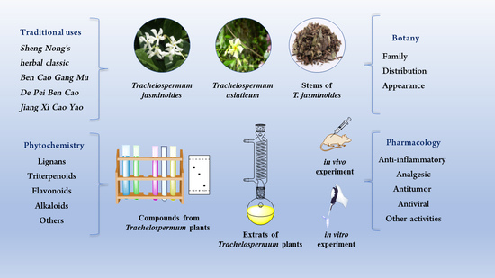 Molecules | Free Full-Text | Phytochemistry, Pharmacology and ...