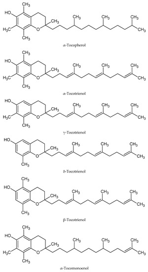The Effect of Pressure and Solvent on the Supercritical Fluid ...