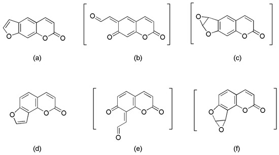 Molecules | Free Full-Text | Coordination Mechanism and Bio-Evidence ...