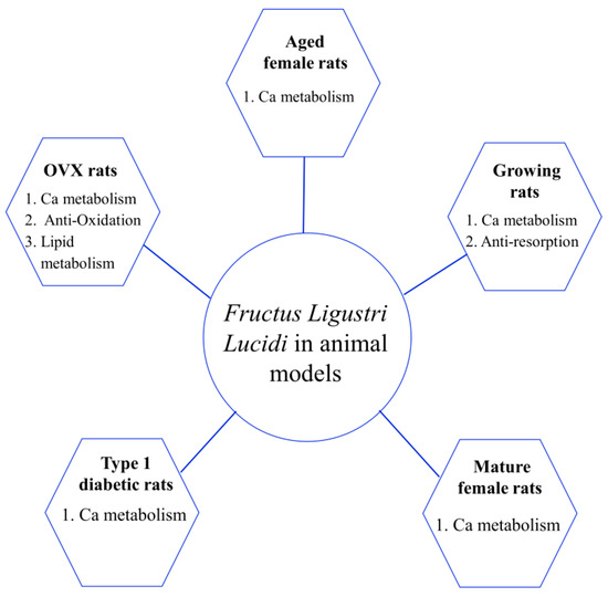 Fructus Ligustri Lucidi in Osteoporosis: A Review of its Pharmacology ...