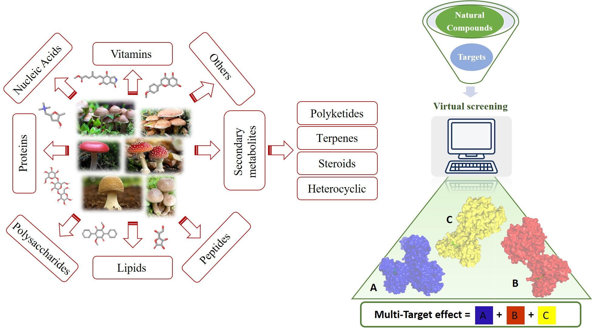 Molecules | Free Full-Text | Chemoinformatic Database Building and in ...