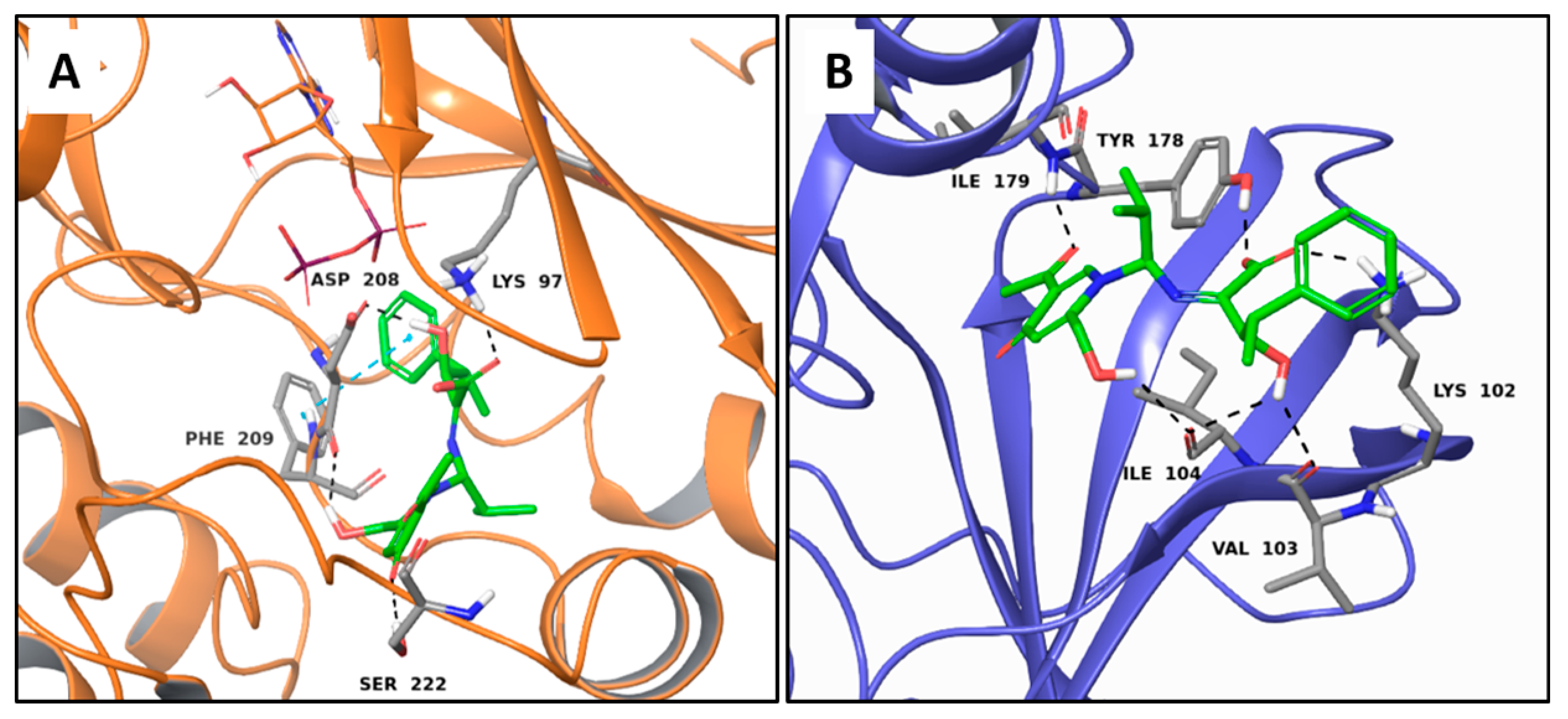 Molecules Free Full Text Chemoinformatic Database Building And In