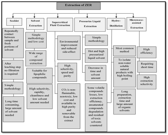 Molecules | Free Full-Text | A Review of the Biomedical Applications of ...