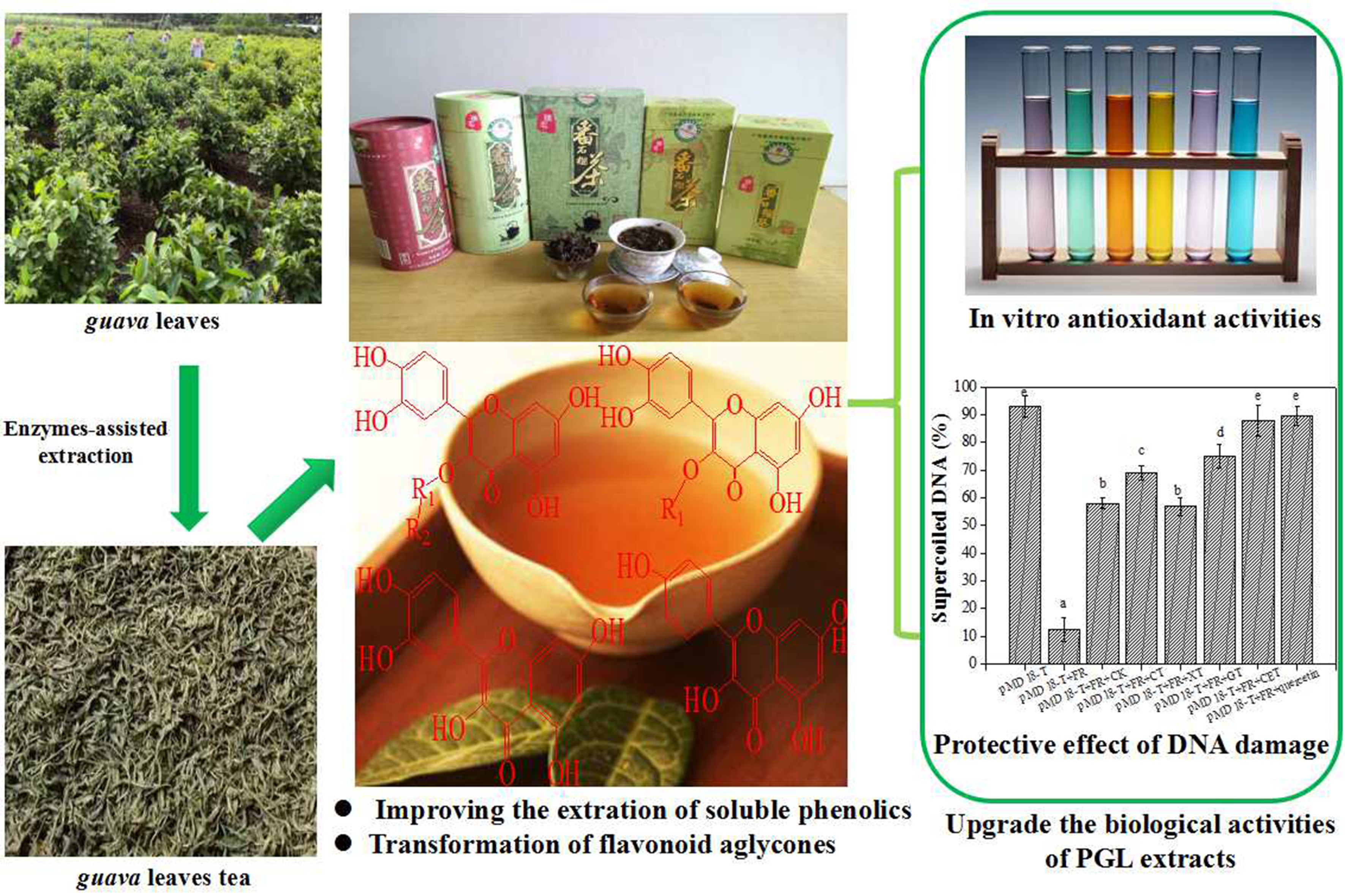 Molecules | Free Full-Text | Complex Enzyme-Assisted Extraction ...