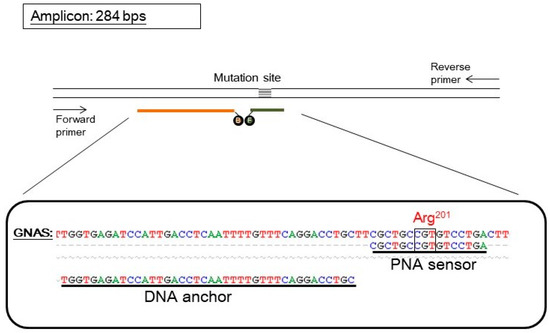 Molecules | Free Full-Text | Detection of Rare Somatic GNAS Mutation in ...