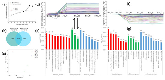 Biochemical, Physiological and Transcriptomic Comparison between Burley ...