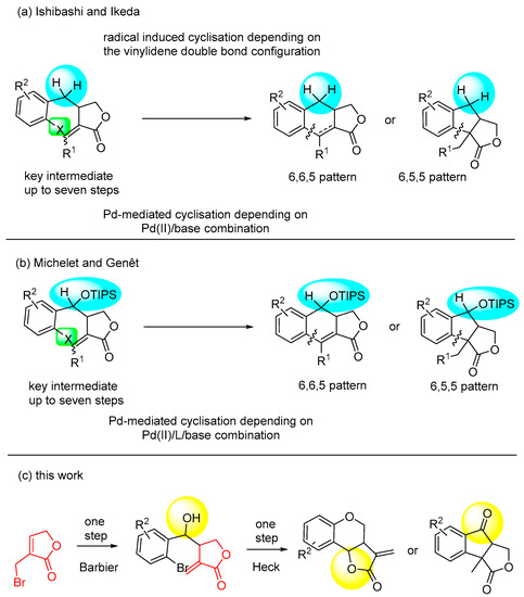From α-Bromomethylbutenolide to Fused Tri(Tetra) Cyclic ...