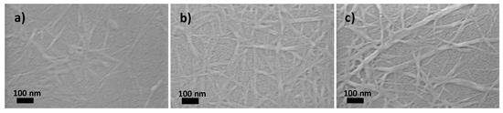 Cellulose Nanofibers Prepared via Pretreatment Based on Oxone® Oxidation
