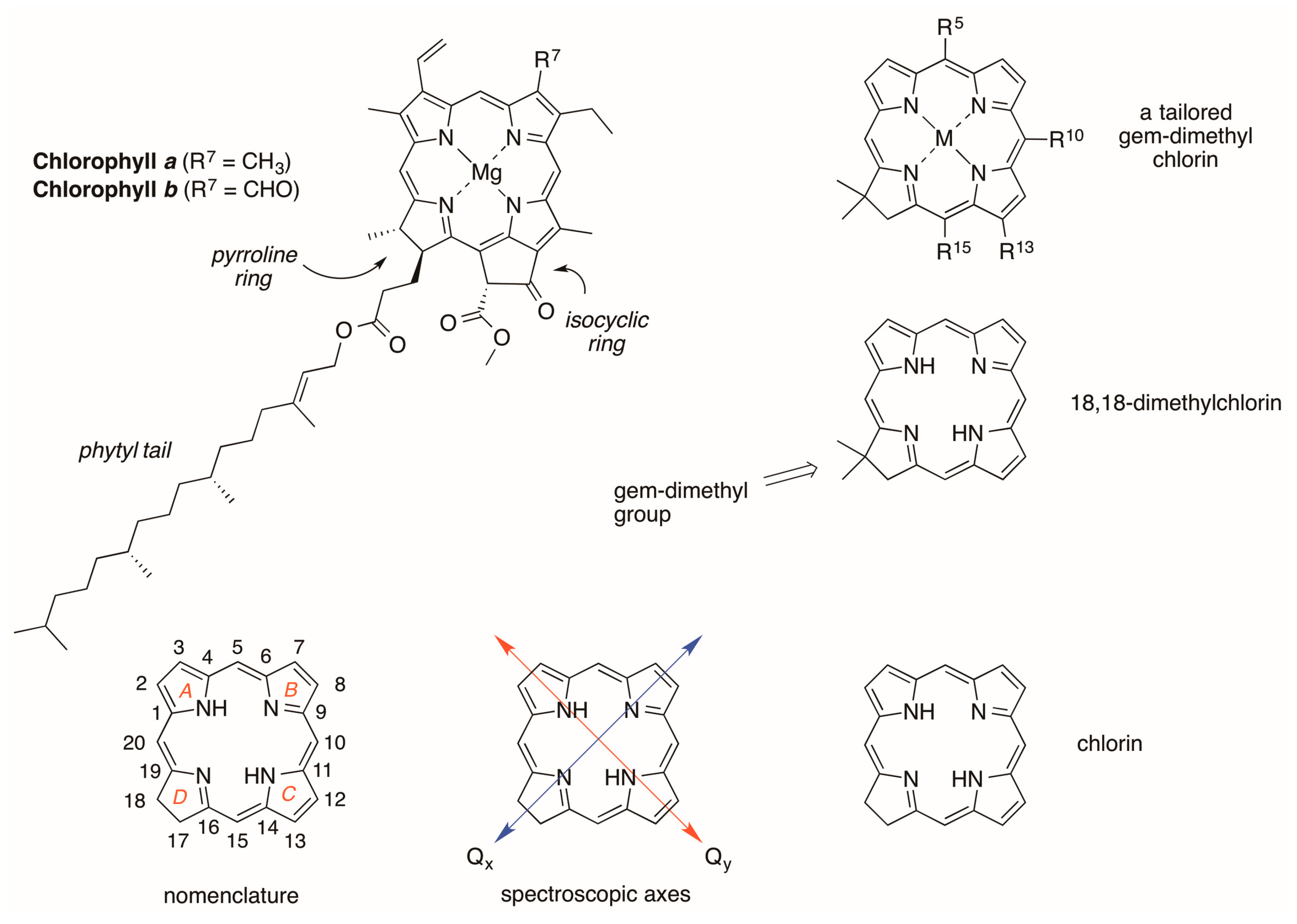 Molecules | Free Full-Text | Chlorophyll-Inspired Red-Region ...