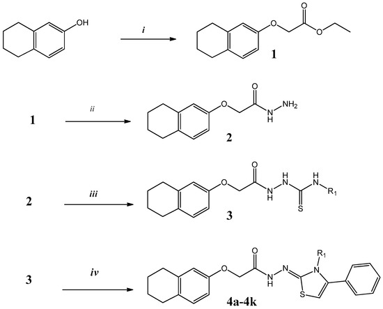 New Thiazoline-Tetralin Derivatives and Biological Activity Evaluation