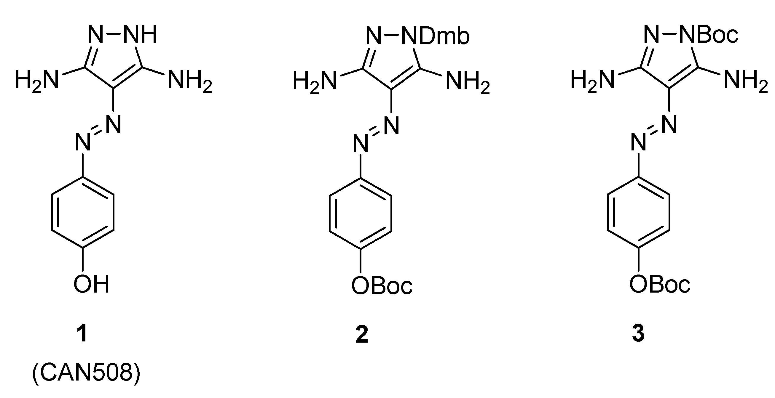 Modification of Boc-Protected CAN508 via Acylation and Suzuki-Miyaura ...
