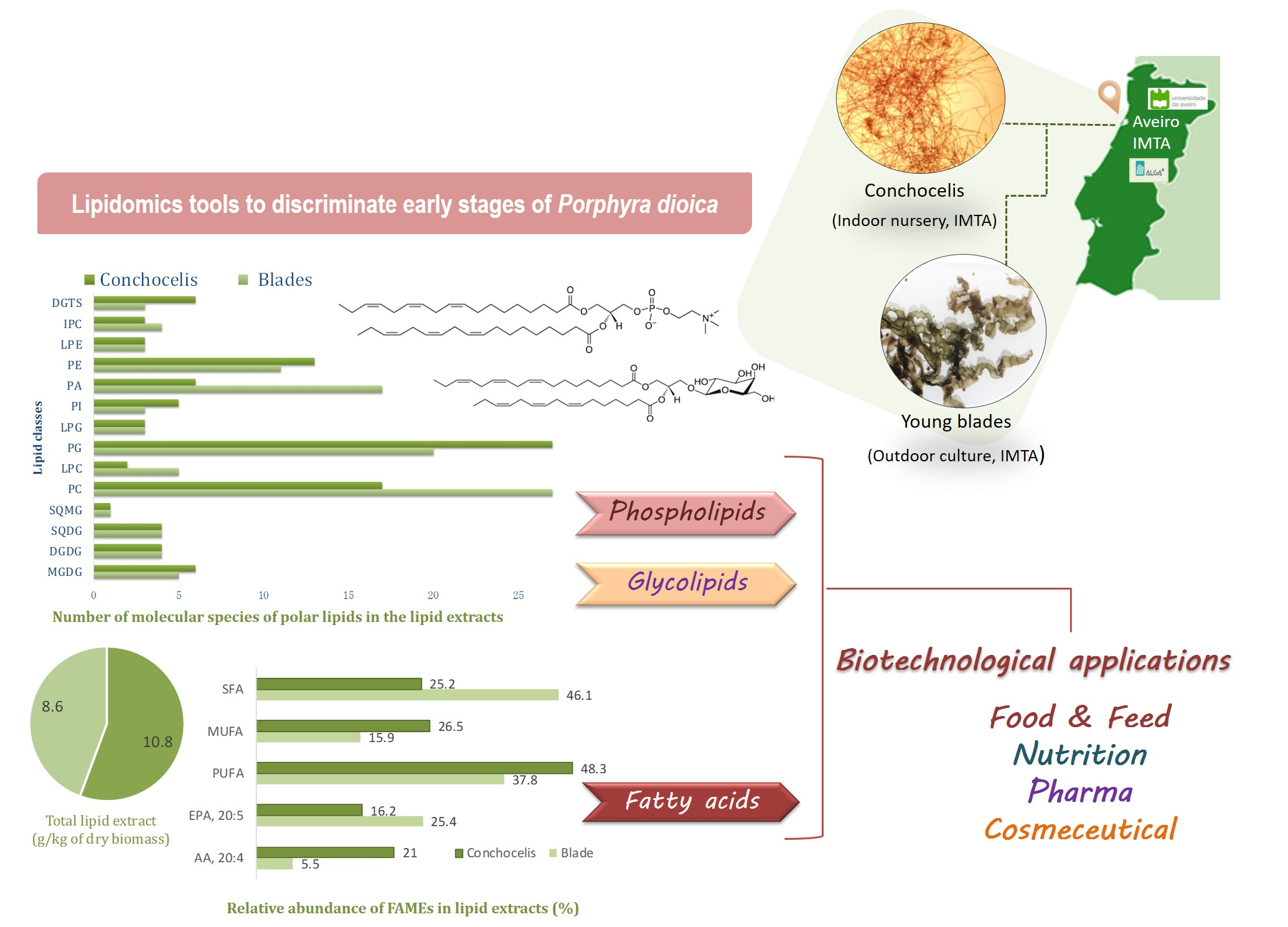 Molecules | Free Full-Text | High-Resolution Lipidomics of the Early ...