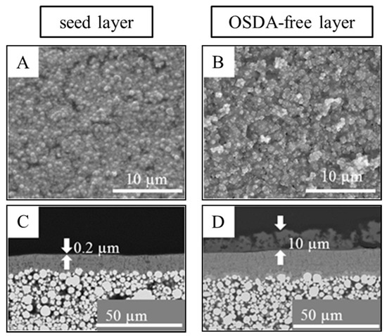 Supported Zeolite Beta Layers via an Organic Template-Free Preparation ...