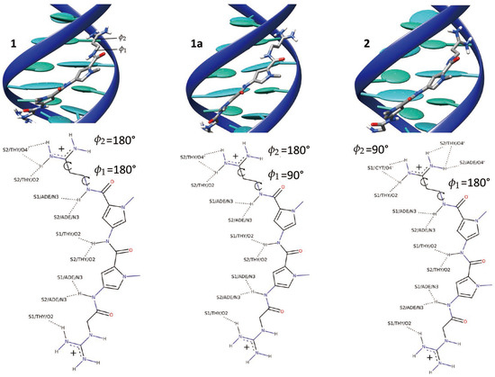 Accurate Estimation of the Standard Binding Free Energy of Netropsin ...