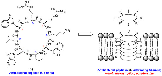 The Road from Host-Defense Peptides to a New Generation of ...