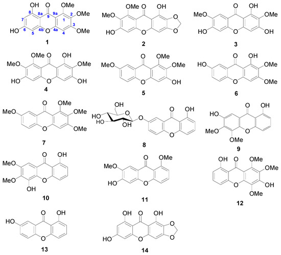 Structure–Activity Relationship of Xanthones as Inhibitors of Xanthine ...