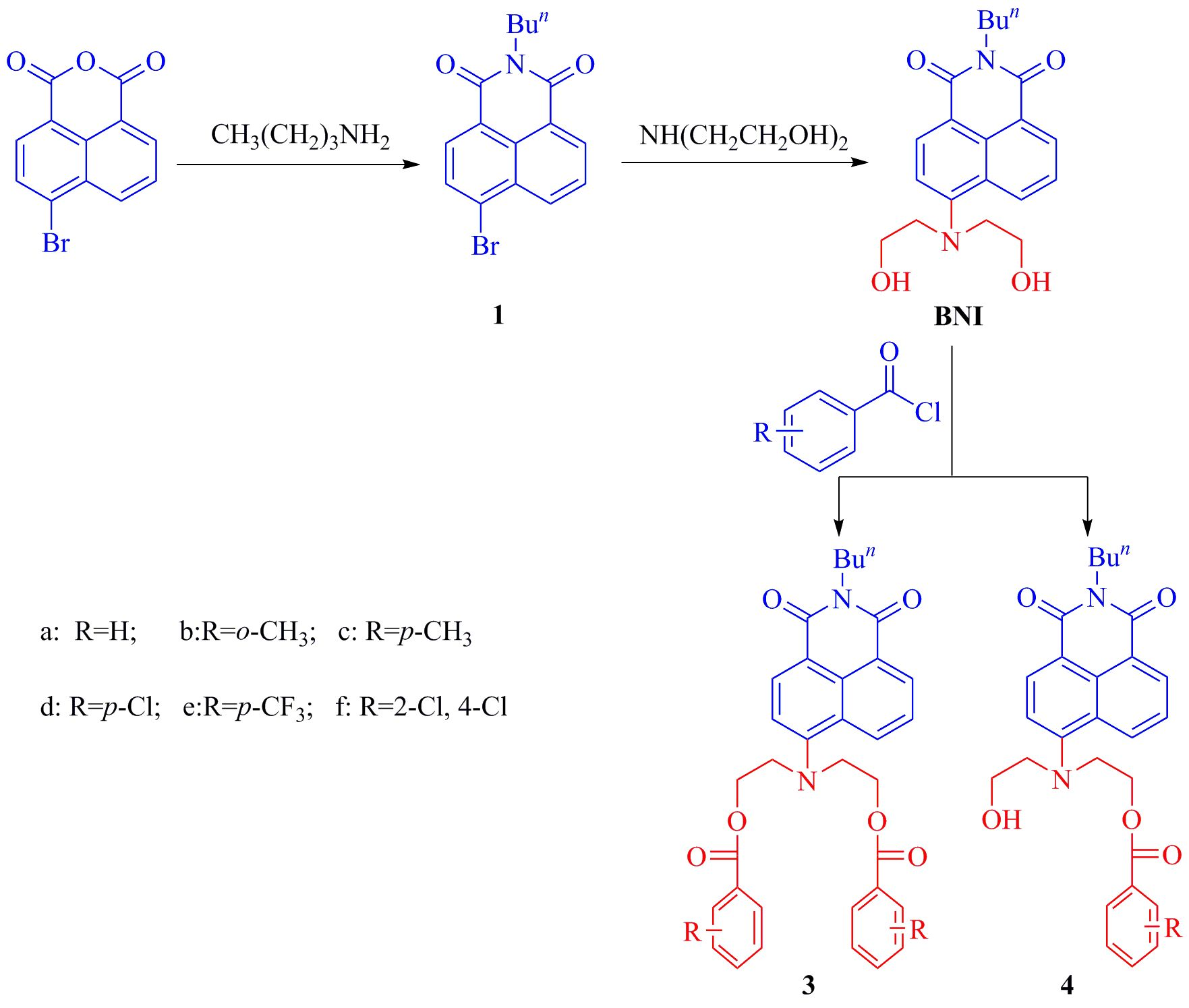 Molecules | Free Full-Text | Synthesis and Fluorescent Property Study of Novel 1,8-Naphthalimide ...