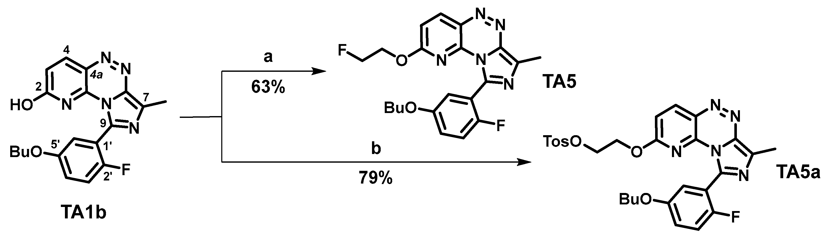 Investigation of an 18F-labelled Imidazopyridotriazine for Molecular ...