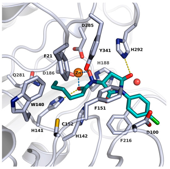 A Novel Class of Schistosoma mansoni Histone Deacetylase 8 (HDAC8 ...