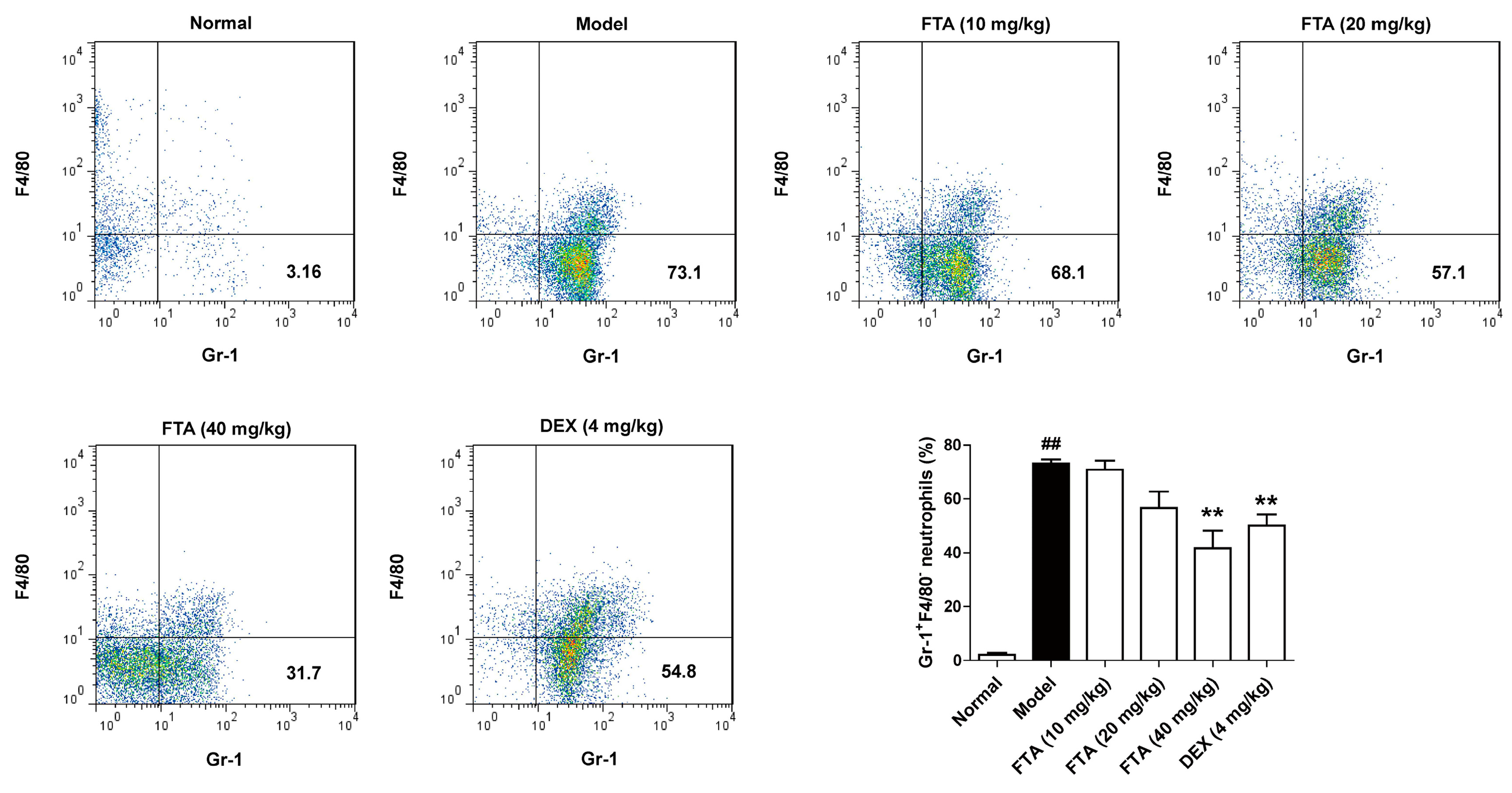 Forsythoside A Modulates Zymosan-Induced Peritonitis in Mice