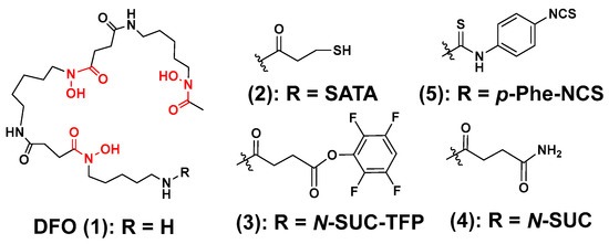 Recent Advances in Zirconium-89 Chelator Development