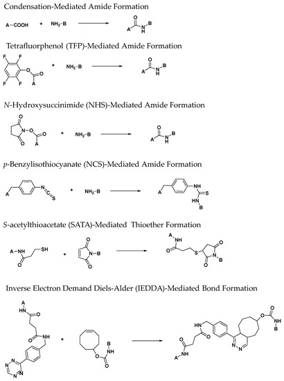 Recent Advances in Zirconium-89 Chelator Development