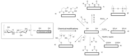 Recent Advances in Modified Cellulose for Tissue Culture Applications
