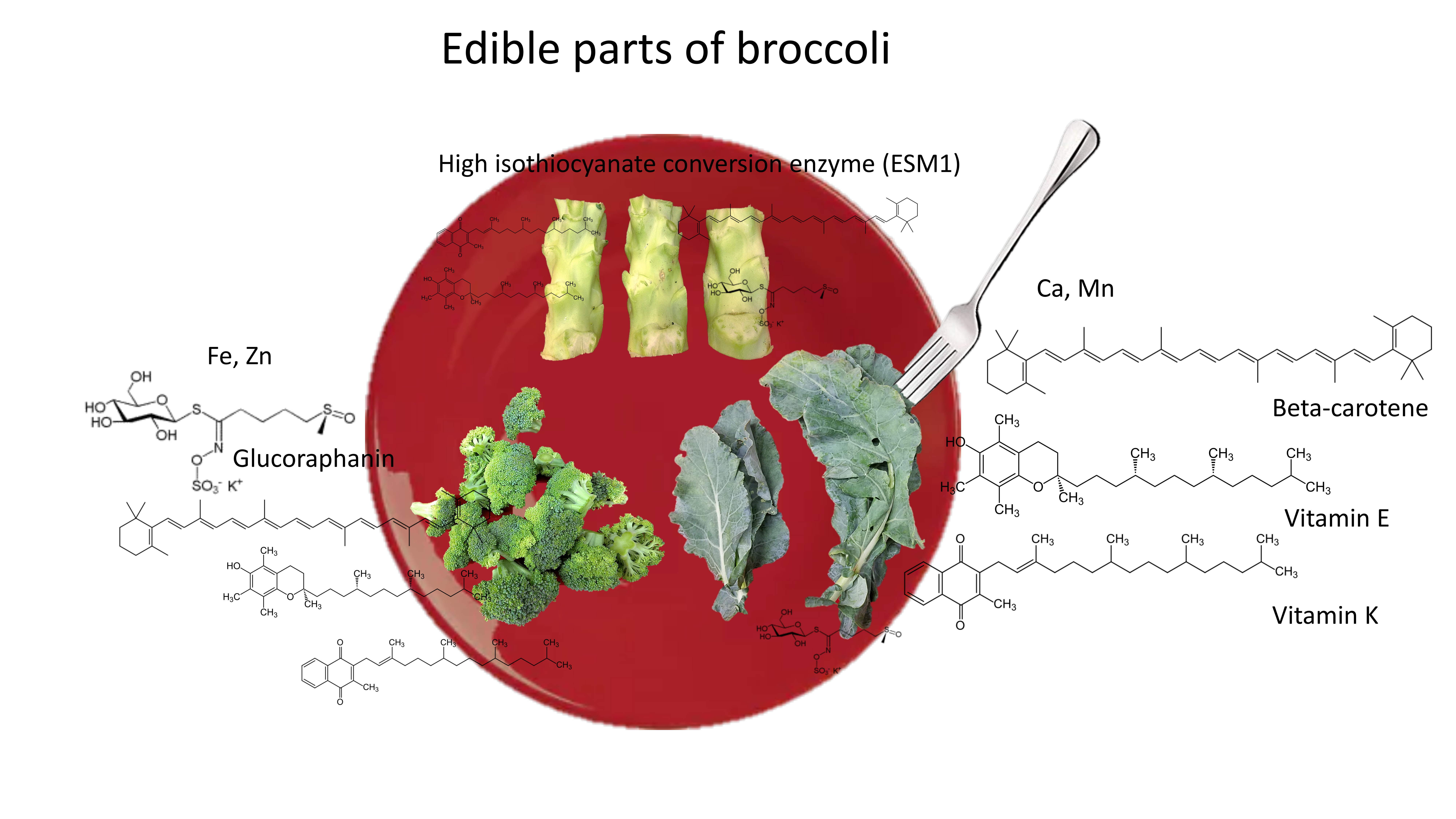 Molecules | Free Full-Text | Comparative Phytonutrient Analysis of ...