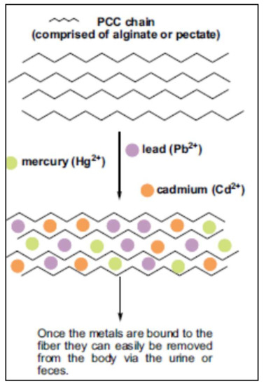 Pectin and Pectin-Based Composite Materials: Beyond Food Texture