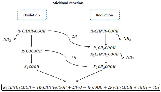 Efficient Anaerobic Digestion of Microalgae Biomass: Proteins as a Key ...