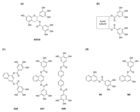 Molecules | Free Full-Text | (−)-Epigallocatechin 3-Gallate Synthetic ...