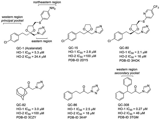 Novel Structural Insight into Inhibitors of Heme Oxygenase-1 (HO-1) by ...