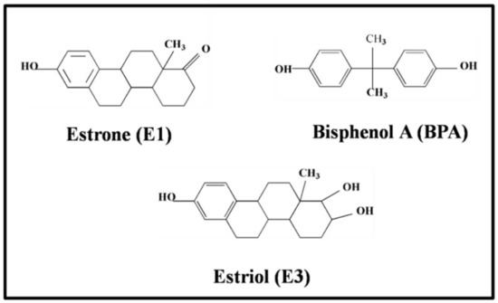 Detection and Identification of Estrogen Based on Surface-Enhanced ...