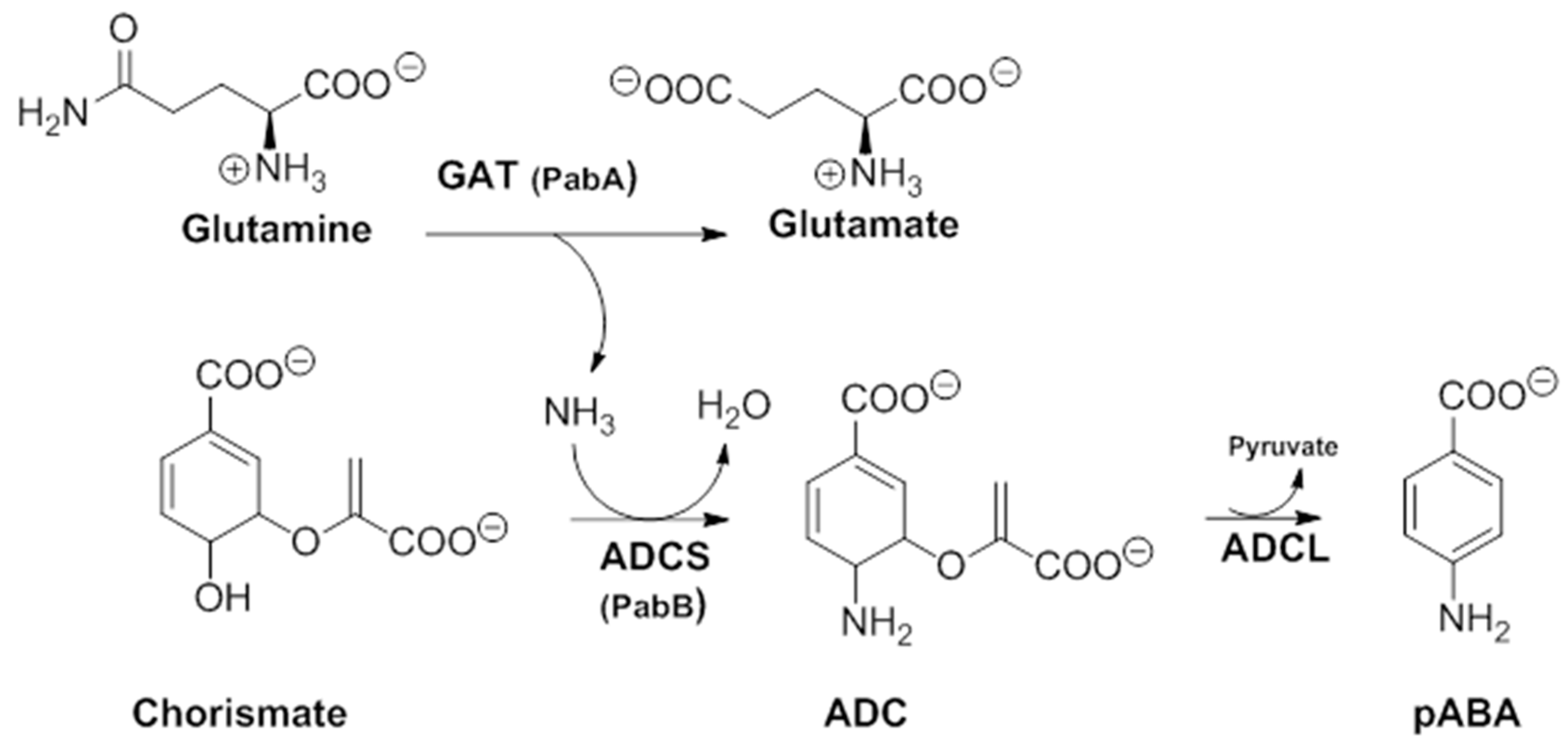 Molecules | Free Full-Text | Review on Abyssomicins: Inhibitors of the ...