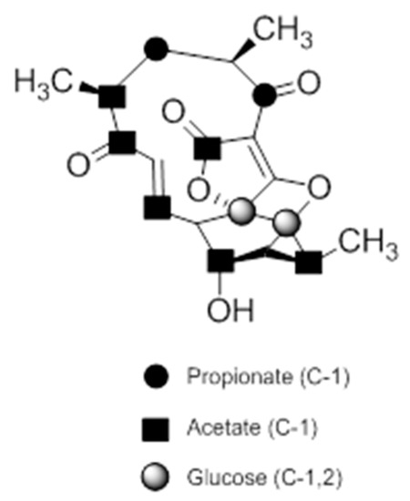Review on Abyssomicins: Inhibitors of the Chorismate Pathway and Folate ...