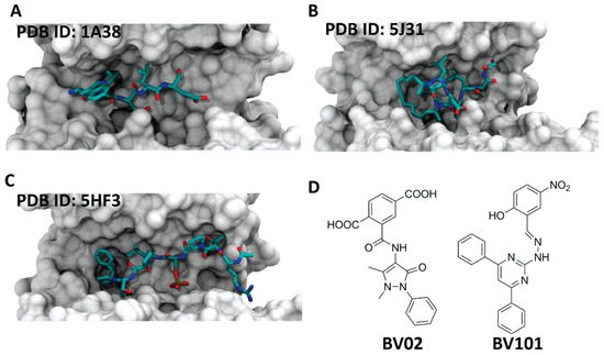 14-3-3: A Case Study in PPI Modulation