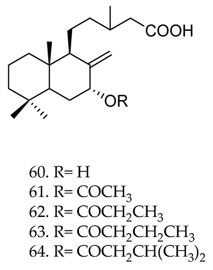 An Overview of Biotransformation and Toxicity of Diterpenes