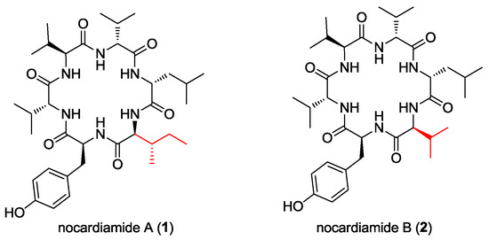Recent Reports of Solid-Phase Cyclohexapeptide Synthesis and Applications