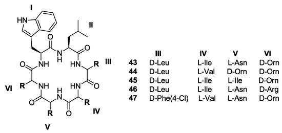 Recent Reports of Solid-Phase Cyclohexapeptide Synthesis and Applications