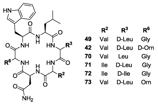 Recent Reports of Solid-Phase Cyclohexapeptide Synthesis and Applications